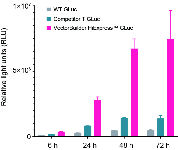 HiExpress™ Luciferase IVT mRNA | 벡터빌더